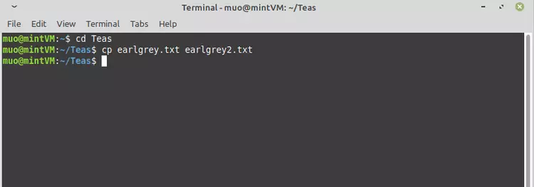 如何在 Linux 中使用 cp 命令複製文件 3521_2