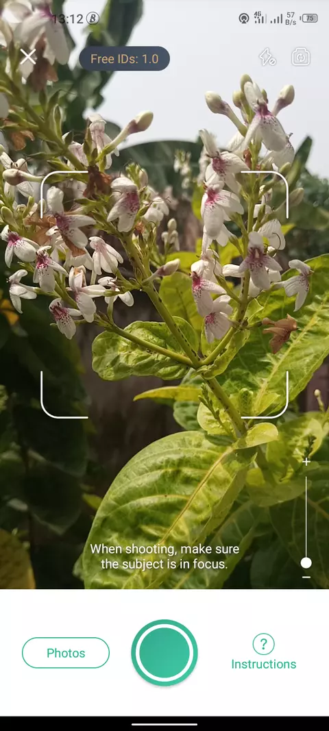 5 лепшых альтэрнатыў Google Lens для Android 36591_12