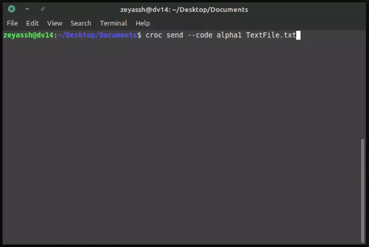 Cara Menginstal dan Menggunakan croc untuk Mentransfer File dengan Aman di Linux 3696_3