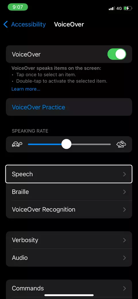 ተመሳሳይ የድሮ VoiceOver ድምጽ ሰልችቶሃል? በእነዚህ የ iPhone ቅንብሮች ያብጁት። 4129_3