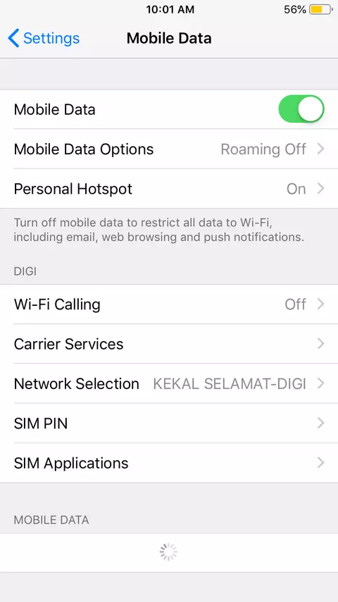 Data Cellular iPhone Ko Ṣiṣẹ? 10 Awọn atunṣe 4183_6