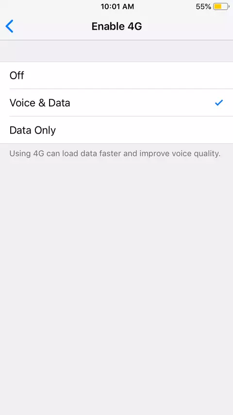 Data Cellular iPhone Ko Ṣiṣẹ? 10 Awọn atunṣe 4183_8