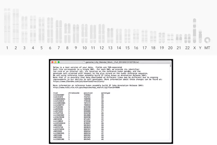 Hurungkeun Data Raw 23andMe Janten Hasil Anu Bermakna Kalayan Situs wéb sareng Alat ieu 46687_4