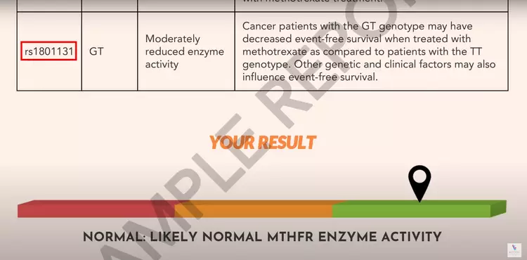 Бул веб-сайттар жана куралдар менен 23andMe чийки маалыматтарды маңыздуу натыйжаларга айлантыңыз 46687_5