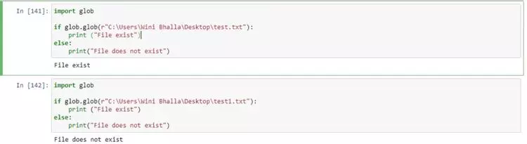 પાયથોનનો ઉપયોગ કરીને ફાઇલ અસ્તિત્વમાં છે કે કેમ તે તપાસવાની 8 રીતો 5135_8