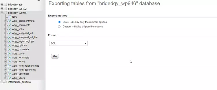 Wéi kopéiert Dir Äre WordPress Site an e Subdomain fir Safe Testing 5146_6