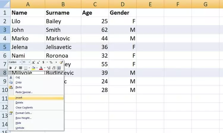 Excel бағдарламасында бірнеше жолдарды қалай кірістіруге болады 5614_4