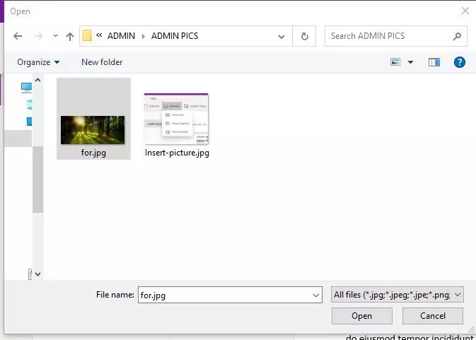 Conas Íomhánna a Chur in Eagar agus a Bharrú i Microsoft OneNote 5673_4