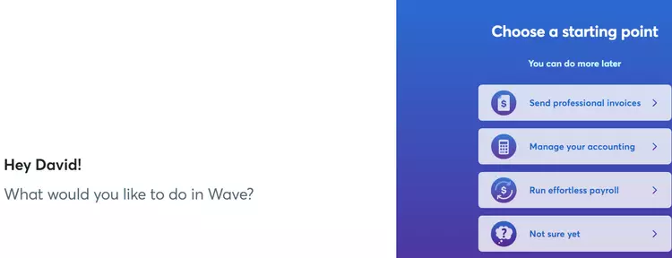 ວິທີການນໍາໃຊ້ບັນຊີ Wave ສໍາລັບທຸລະກິດຂະຫນາດນ້ອຍ 5813_3