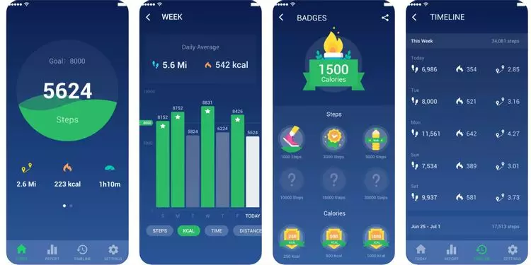 Ang 8 Pinakamahusay na Pedometer Apps para sa iPhone 6771_7