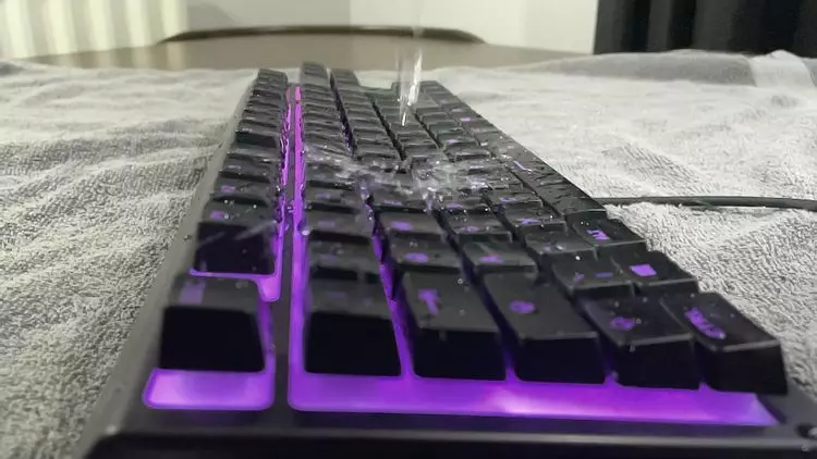 SteelSeries Apex 3 TKL Tinjauan Kibor: TKL Tahan Cai Kahiji di Dunya 7182_10