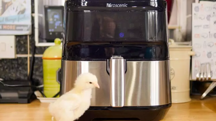 Proscenic T21 Air Fryer: Alexa, Fry Me Some Chicken 7827_12