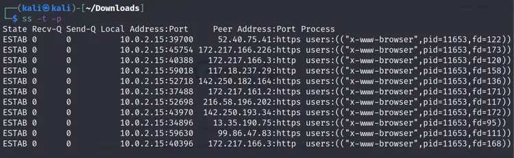 Hur man övervakar nätverksanslutningar på Linux med ss 7975_13