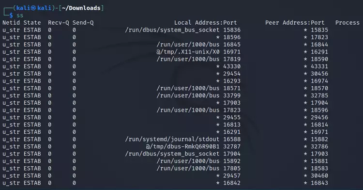 Hur man övervakar nätverksanslutningar på Linux med ss 7975_2