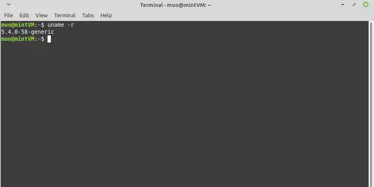 Nggawe Kernel Nganyarke Cara Gampang ing Linux Mint 8011_2