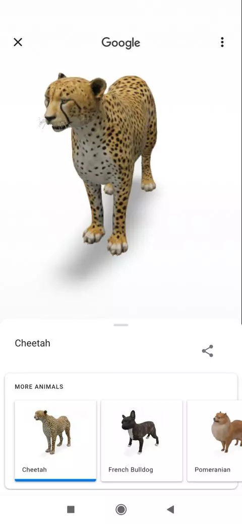 Wanyama wa 3D wa Google: Jinsi ya Kubadilisha Kifaa Chako Kuwa Safari Pekee 9813_2