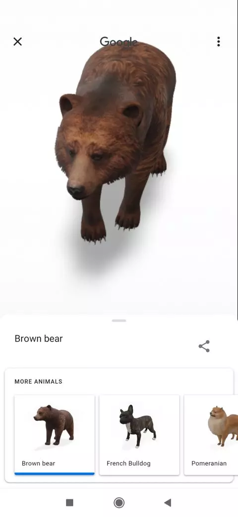 Google 3D Animals: Cara Mengubah Peranti Anda Menjadi Safari Maya 9813_3