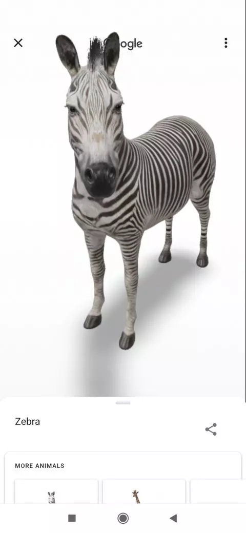 Google 3D Animals: Cara Mengubah Peranti Anda Menjadi Safari Maya 9813_6