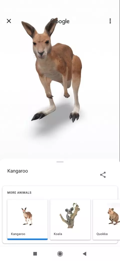 Google 3D Animals: Kuinka muuttaa laitteesi virtuaaliseksi safariksi 9813_9